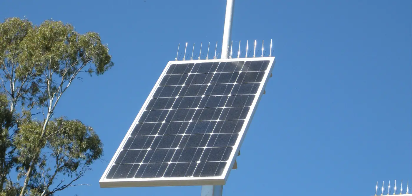 Solar Panel Bird Damage: How To Prevent It And Stop It Now - Discover ...